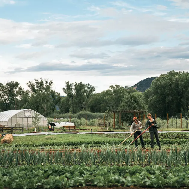 Tourism Projects - Travel Conservation Work | Carbondale, CO